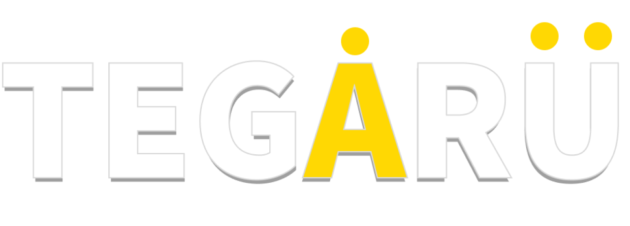 法人向け（ブログなし）デザイン｜TEGARU